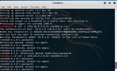 Problemas De Conexión Por Ssh En Kali Linux A Usuario Root Stack