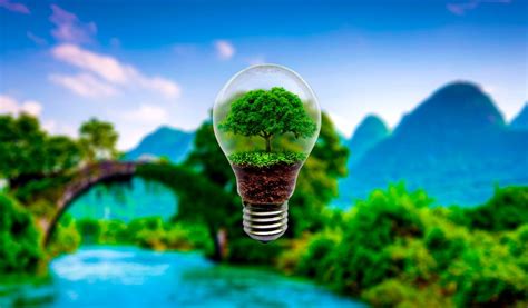 Кращі шпалери на телефон популярні заставки та картинки на мобільний