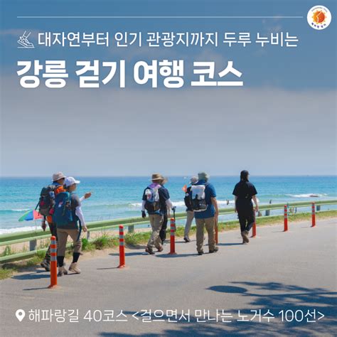 강릉 가볼만한 곳 ㅣ해파랑길 40코스ㅣ강릉의 다채로운 자연을 장덕리은행나무 향호저수지 Bts정류장 해파랑쉼터주문진등대