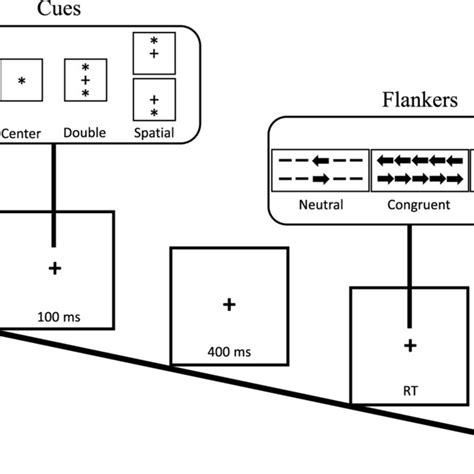 Attention Network Test Ant For Each Trial Of This Computer Task 288
