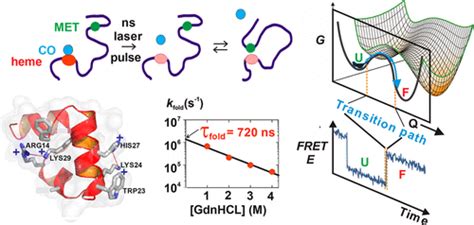 现代动力学和蛋白质折叠机理的回顾 The Journal of Physical Chemistry B X MOL