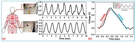 An Active Self Driven Piezoelectric Sensor Enabling Real Time Respiration Monitoring