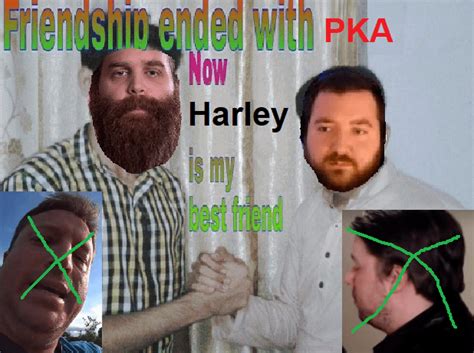 Harley will go to Taylors next wedding. : r/PKA