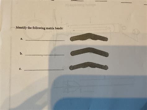 Matrix Bands Diagram Quizlet