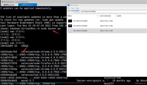 【云计算】web自动化测试docker分布式自动化进阶（selenium Hub Vnc）seleinum Vnc Csdn博客