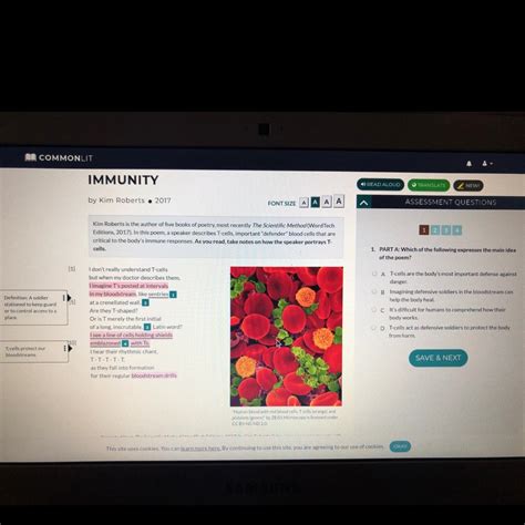 Commonlit Answer Key An Overview Of The Great Depression Commonlit Answer Key I Need