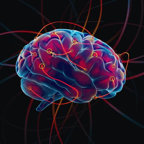 Double Wood Cdp Choline Supplement Review Harnessing Cognitive Potential