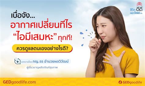 วิธีดูแลอาการไอมีเสมหะ เมื่ออากาศเปลี่ยน Ged Good Life ชีวิตดีดี