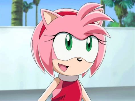 Pin By Valentina Javiera On Amy Rose Amy Rose Illustration Artwork