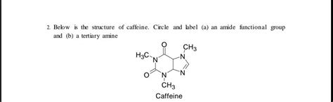 2 Below Is The Structure Of Caffeine Circle And Label A An Amide 2 Below Is The Structure Of Caffeine Circle And Label A An Amide