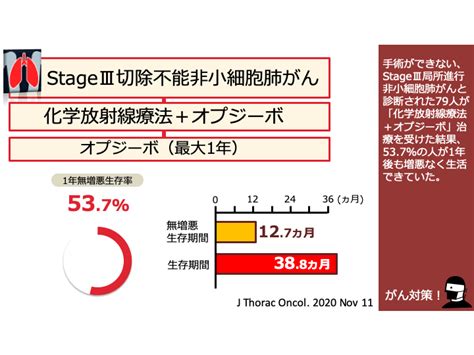 日本がん対策図鑑 【egfr陽性肺がん：一次治療（pfs）】「アミバンタマブ＋ラゼルチニブ」vs「タグリッソ」