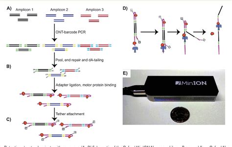 Figure 2 From Piecing Together The Puzzle Nanopore Technology In