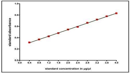 Example Of Standard Curve For Protein Concentration Determination
