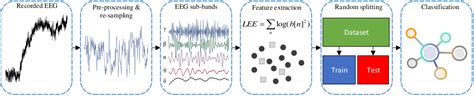 Figure 1 From The Importance Of Gender Specification For Detection Of Driver Fatigue Using A