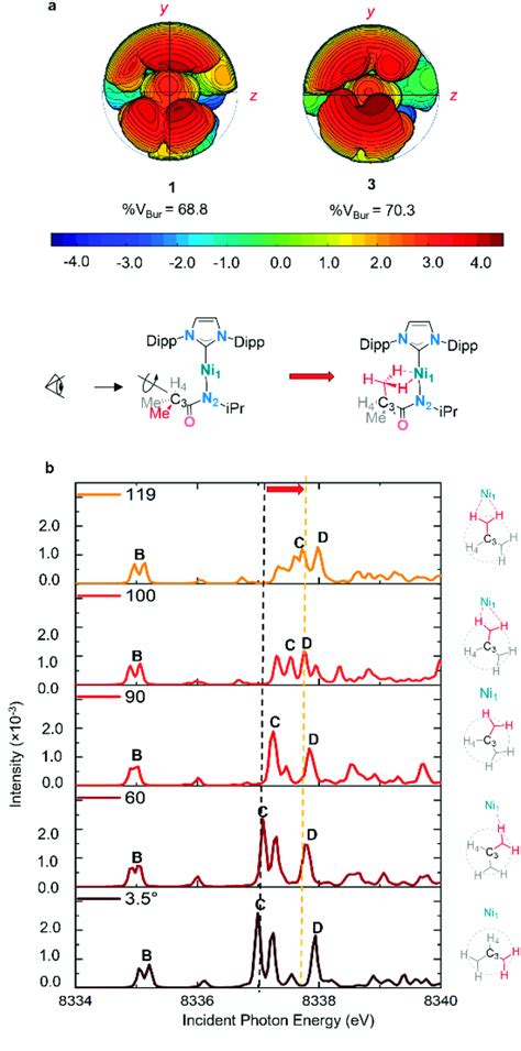 A Topographic Steric Maps Of Agostic Complexes 1 And 3 Steric Maps Download Scientific