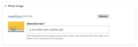 Alt Text For Images In Drupal All About This Key Accessibility Element