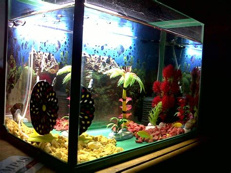 35 Gambar Sketsa Ikan Akuarium Info Penting
