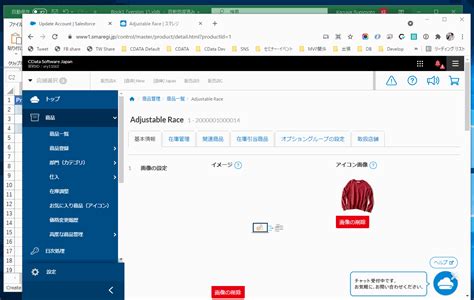 Cdata Excel Add In でストアドプロシージャを一括実行する方法：cdata Excel Formulas