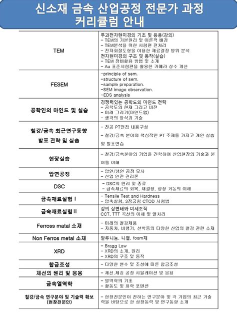 신소재 금속 산업공정 전문가 과정 커리큘럼 안내 Tem Fesem 공학인의 마인드 및 실습 철강금속 최근연구동향 Ppt
