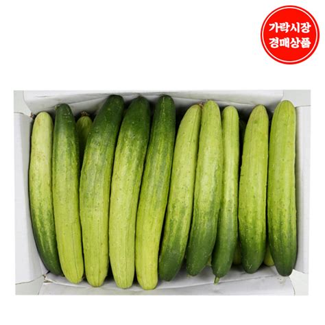 가락시장 경매 식자재 채소 백다다기오이 50개내외box 홈플러스 택배배송