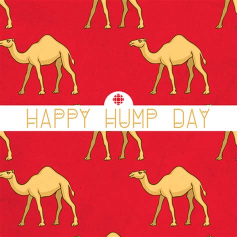 Wednesday Camel By Cbc Find Share On Giphy