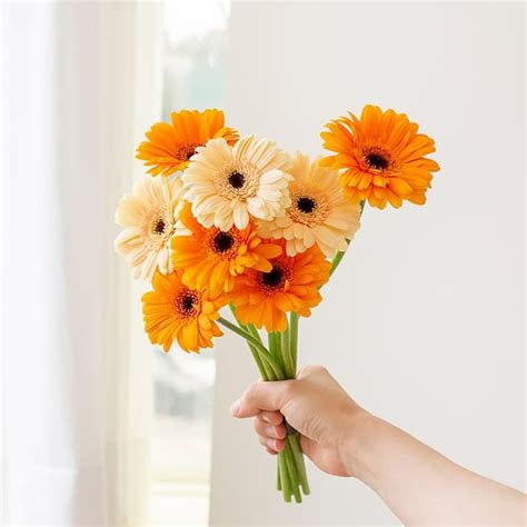 신비의 꽃 거베라 믹스 원모먼트