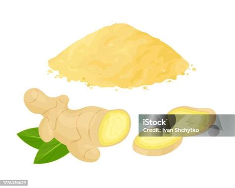 Dry Ginger Powder Heap Ginger Root Whole And Sliced Isolated On White