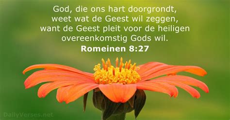 17 November 2022 Bijbeltekst Van De Dag Romeinen 8 27 DailyVerses Net