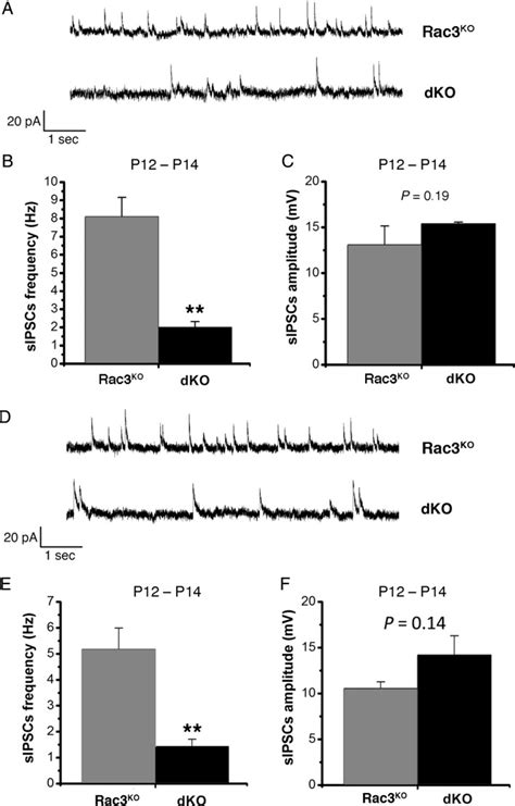 Comparative Analysis Of Spontaneous Inhibitory Synaptic Events In Download Scientific Diagram