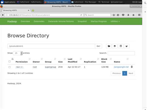 Hadoop 配置文件，参数地优先级 Csdn博客