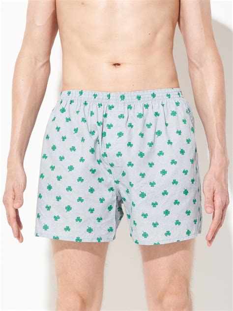 homens Cueca boxer por toda parte impressão de cactos