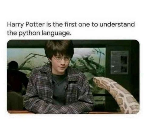 Muhammad Sajawal Khan On Linkedin Python Meme Python Fun Programming Founder