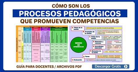 ¿cÓmo Son Los Procesos PedagÓgicos Que Promueven Competencias