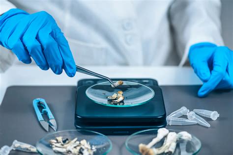 Research On Psychedelics And How Mushrooms Can Help Combat Depression