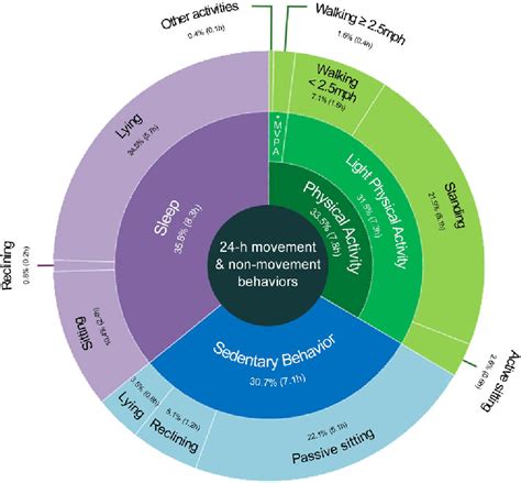 Figure 2 From 24 H Movement And Nonmovement Behaviors In Older Adults