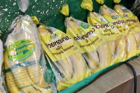 ขึ้นทะเบียน Gi กล้วยหอมทองเพชรบุรีสร้างมูลค่าเพิ่มสินค้าอัตลักษณ์ชุมชน เรื่องเล่าข่าวเกษตร