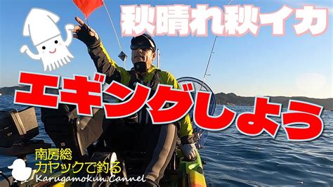 【カヤック】秋晴れの中 南房総でエギングしたい【エギング】 Youtube