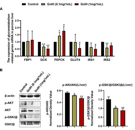 a the mrna expression levels of hepatic glucometabolism related genes