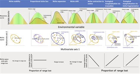 Niche Ecology Example