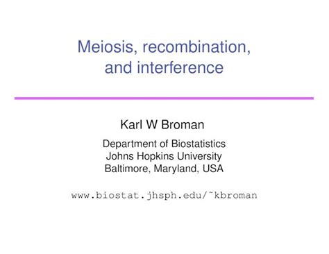 Pdf Meiosis Recombination And Interferencekbromanpresentations