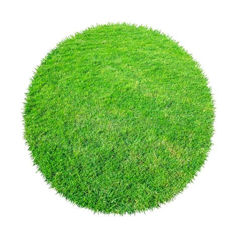 Abstract Green Grass Texture For Background Circle Green Grass Pattern