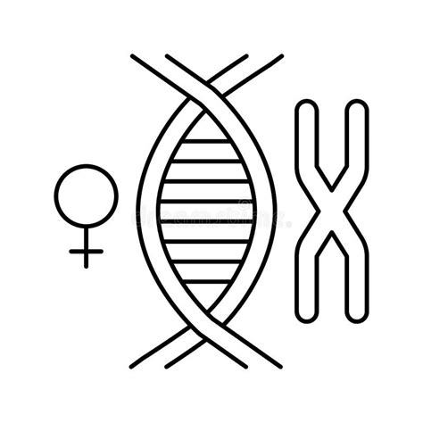 DNA genética del cromosoma stock de ilustración Ilustración de ciencia