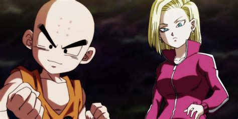 Dragon Ball 15 Facts About Krillin And Android 18s Relationship Only