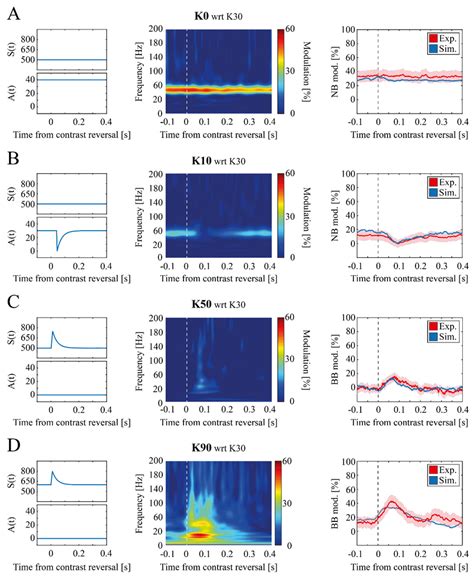 temporal evolution of contrast dependent modulation in simulated data