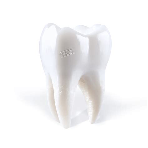 Teething The Rock Box Record Store Independent Vinyl And Record Shop In Camberley Rock Box