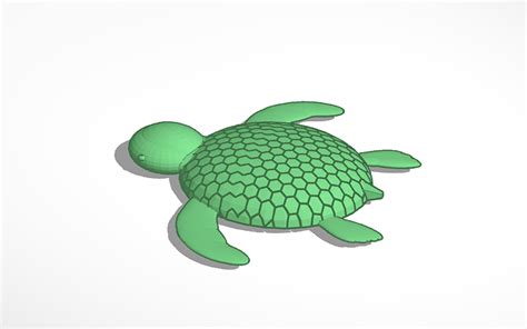 3d Design Turtle Tinkercad