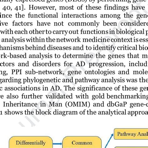 Block Diagram Of The Applied Analytical Approach Download Scientific