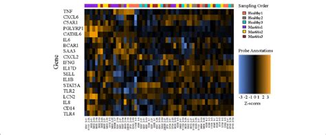 heatmap of the normalized data scaled to give all genes equal