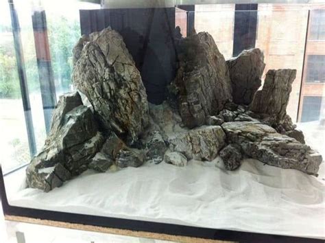 10 Wondrous Aquarium Design Ideas For Your Extraordinary Home