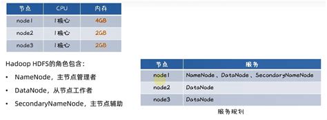 在VMware虚拟机集群上部署HDFS集群 AcWing